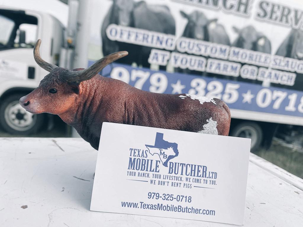 Pigs – Texas Salebarn