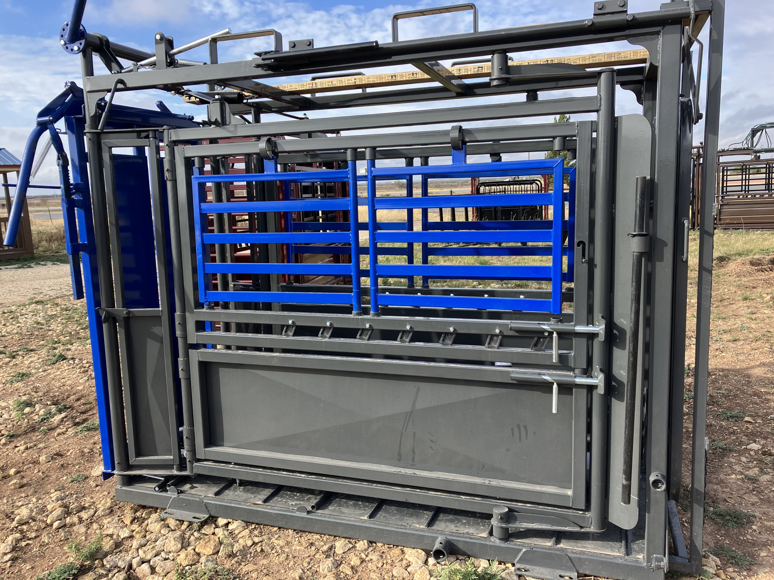 Livestock – Page 2 – Texas Salebarn