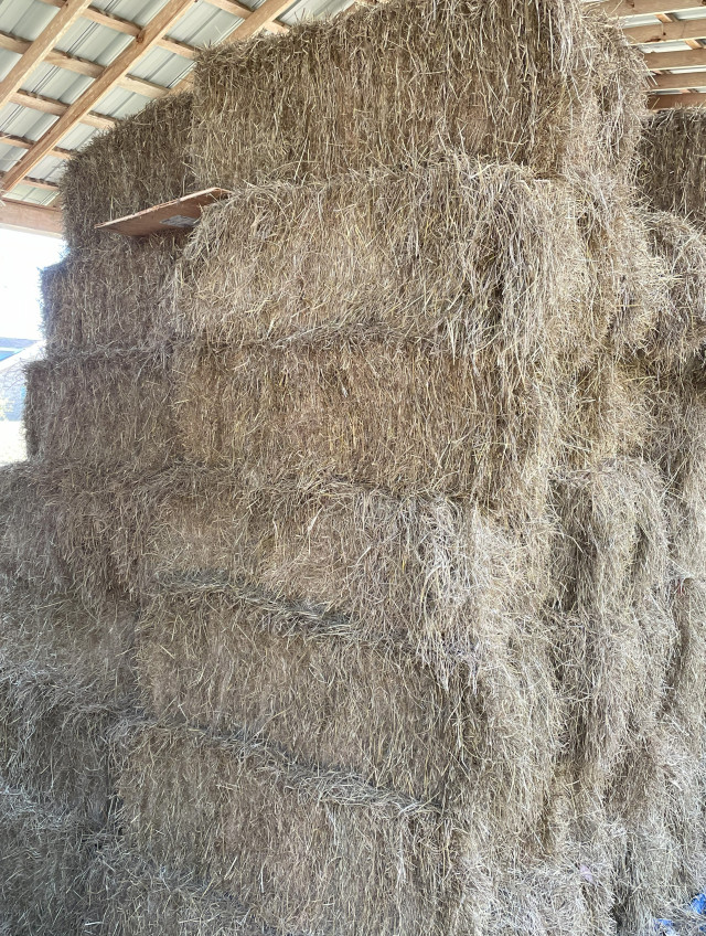 Hay – Texas Salebarn